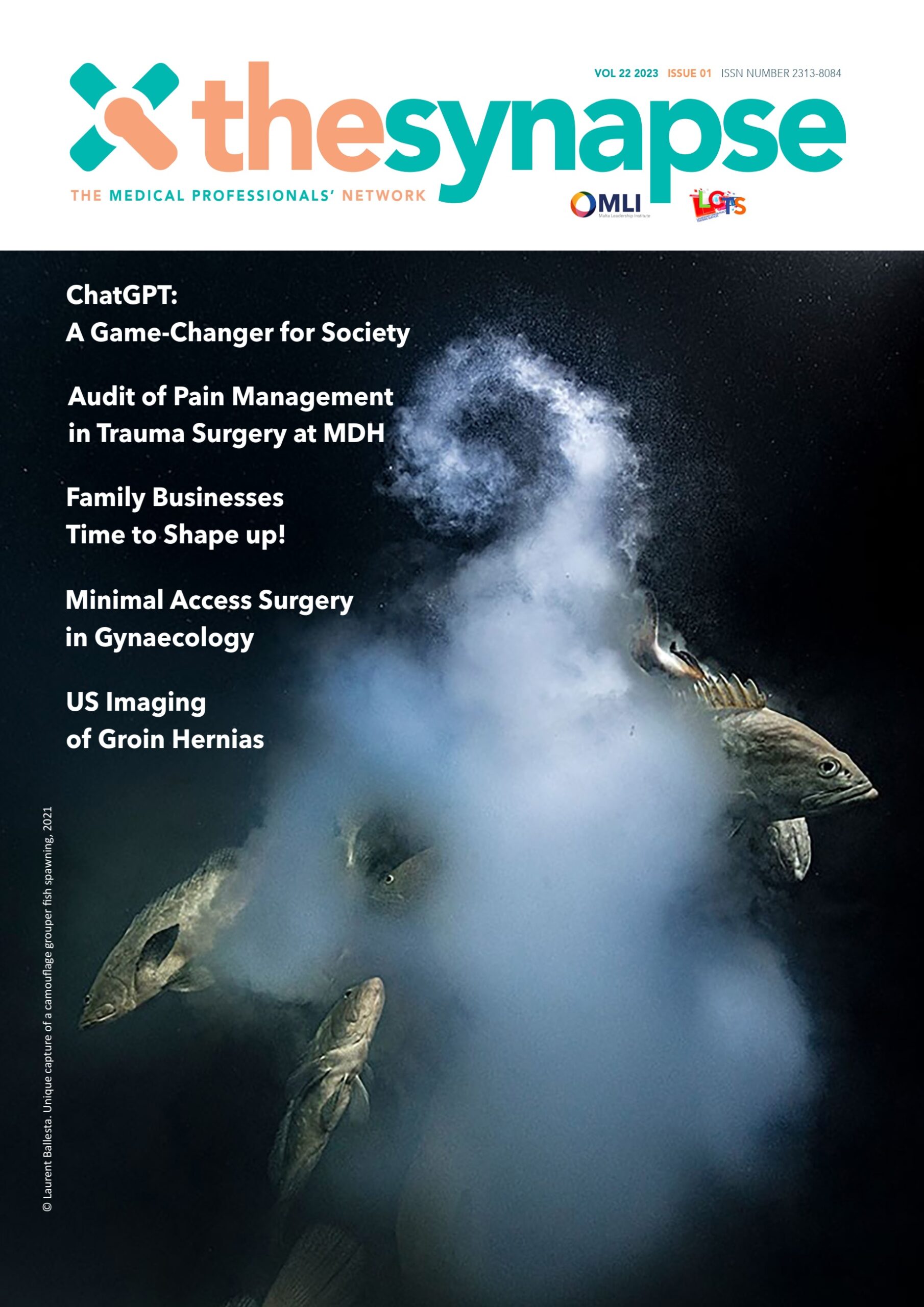 The Synapse Magazine, Vol. 22, Issue 1, 2023 - TheSynapse